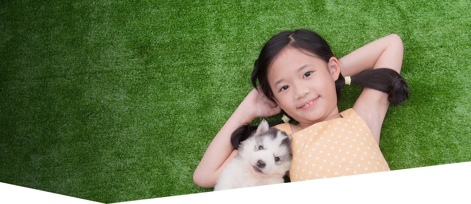 Why Choose Safari Stan's Pet Center - Safari Stan