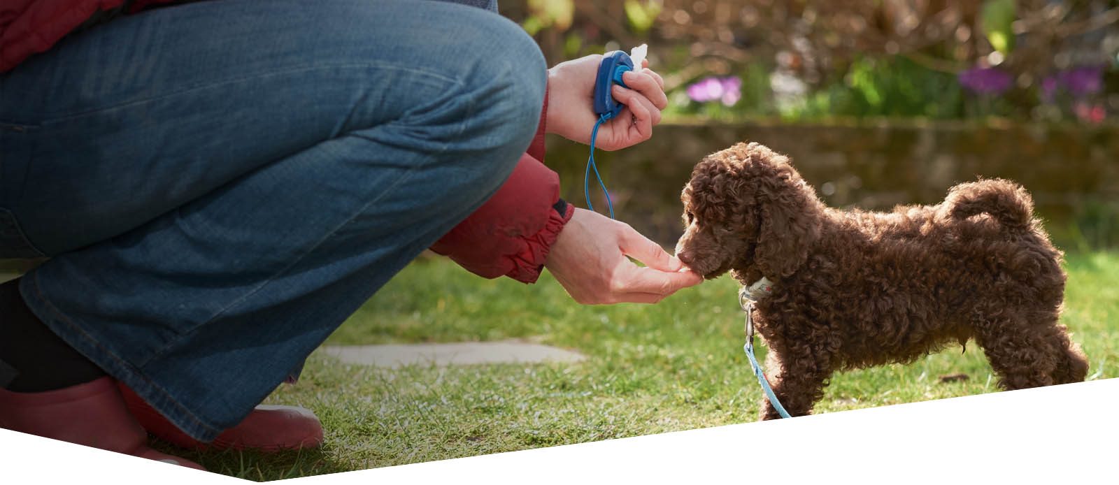 Safari Stan's Pet Center Gives Back - Safari Stan