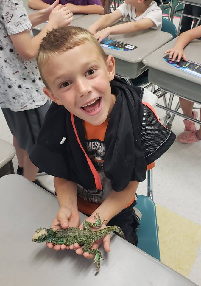 The Importance of Pets in the Classroom - Safari Stan